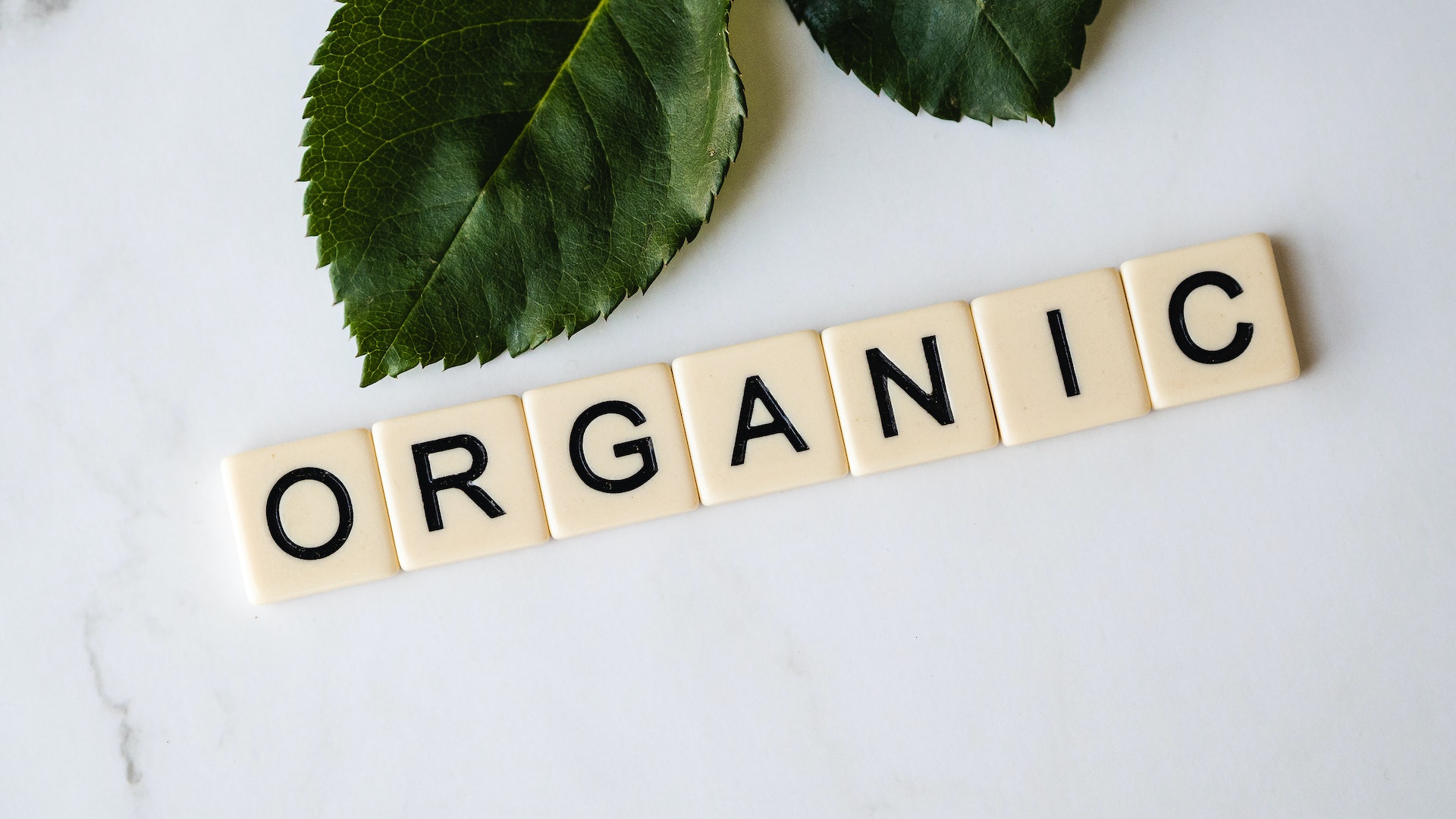 How to Choose an Organic Foods Distributor? - Northern Sky Magazine