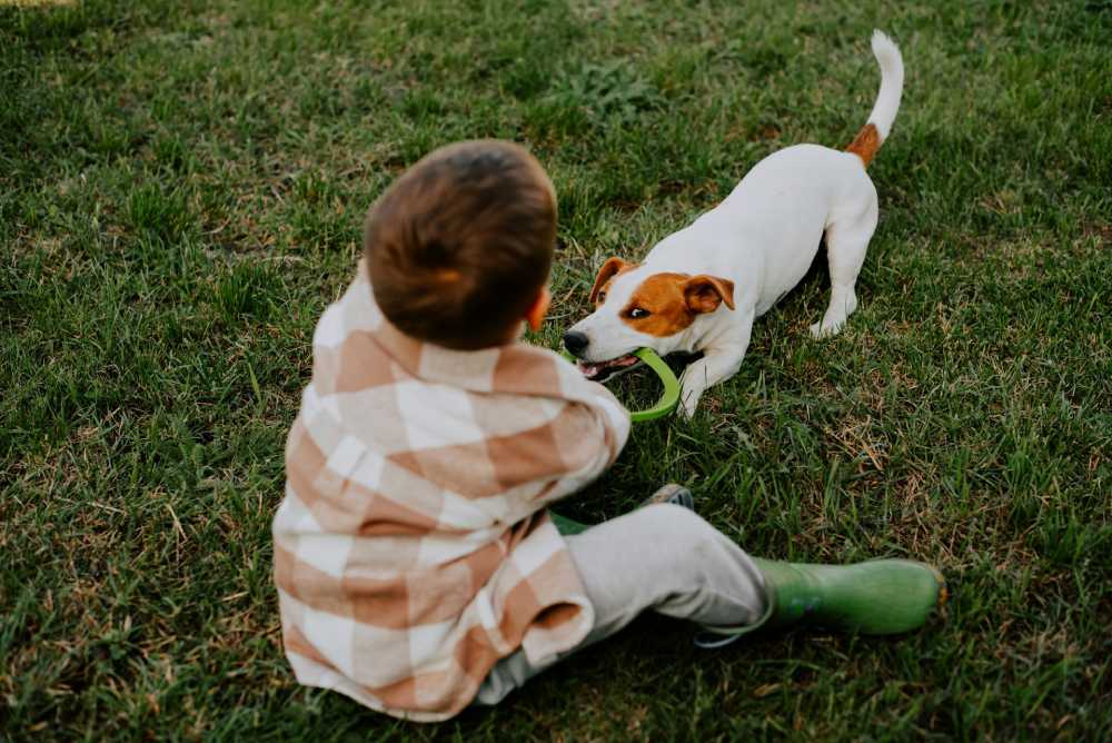 Can You Hire a Dog Bite Lawyer if Your Child Was Bitten By a Dog ...